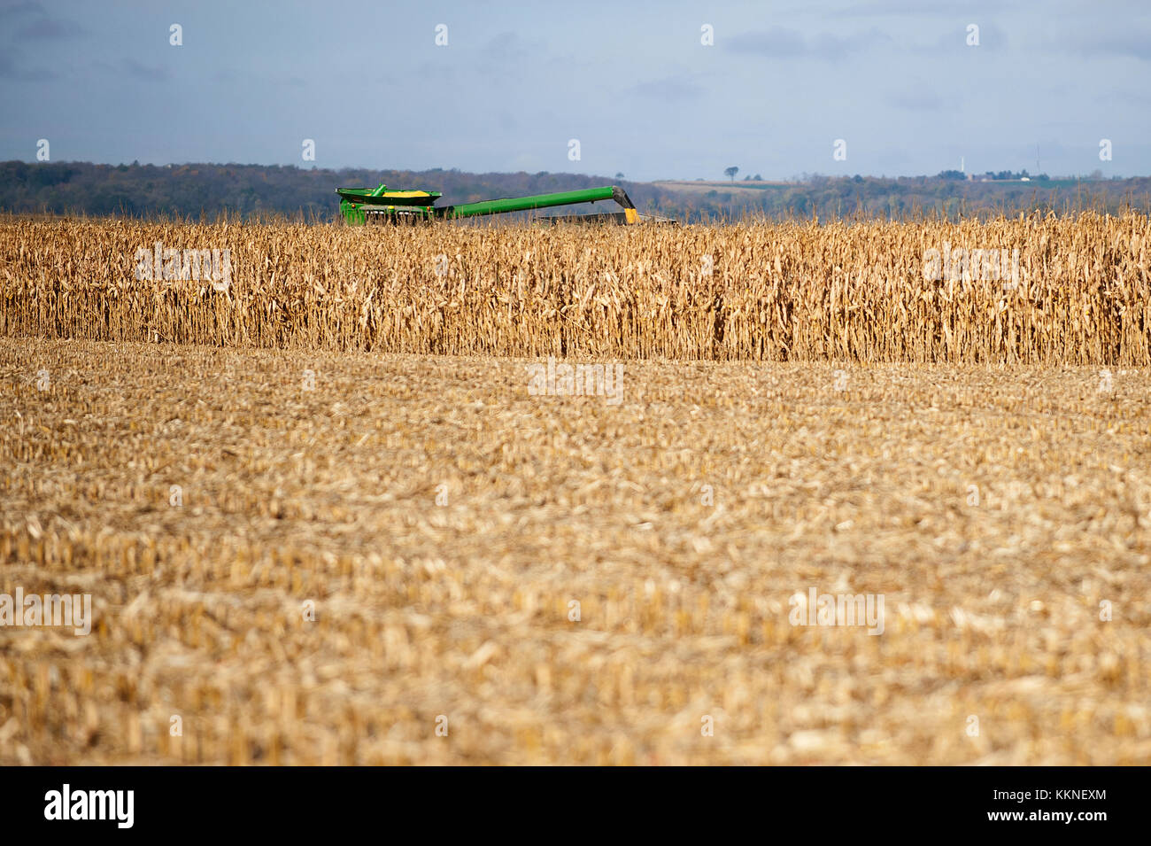 COMBINE HARVESTING CORN IN UTICA, MINNESOTA Stock Photo - Alamy