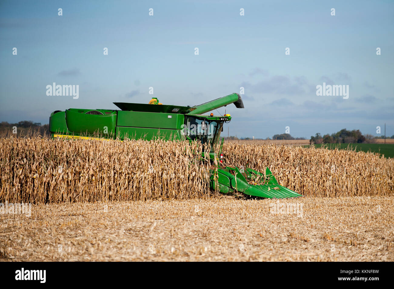 COMBINE HARVESTING CORN IN UTICA, MINNESOTA Stock Photo - Alamy