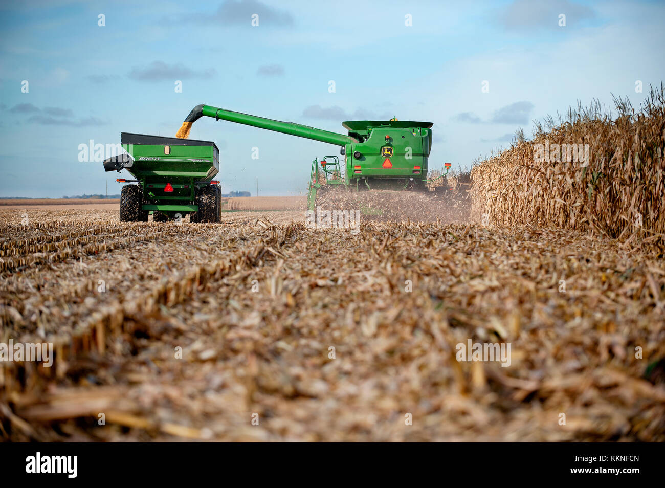 COMBINE HARVESTING CORN IN UTICA, MINNESOTA Stock Photo - Alamy
