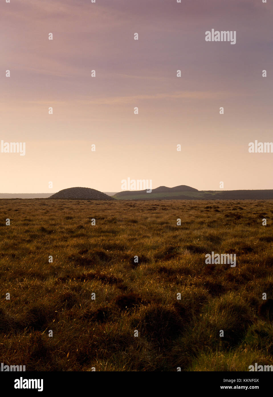 View NW showing general exteriors & moorland setting of Camster Round ...