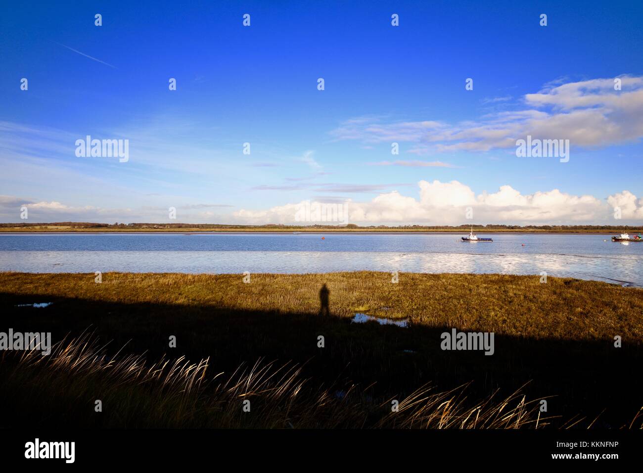 River wall between the River Deben and Kingsfleet tributary with the ...