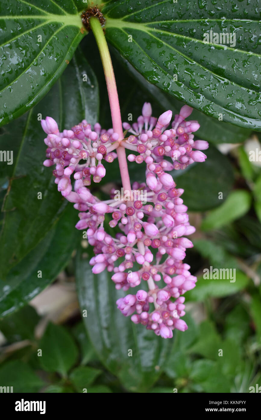Nature at its best Stock Photo - Alamy