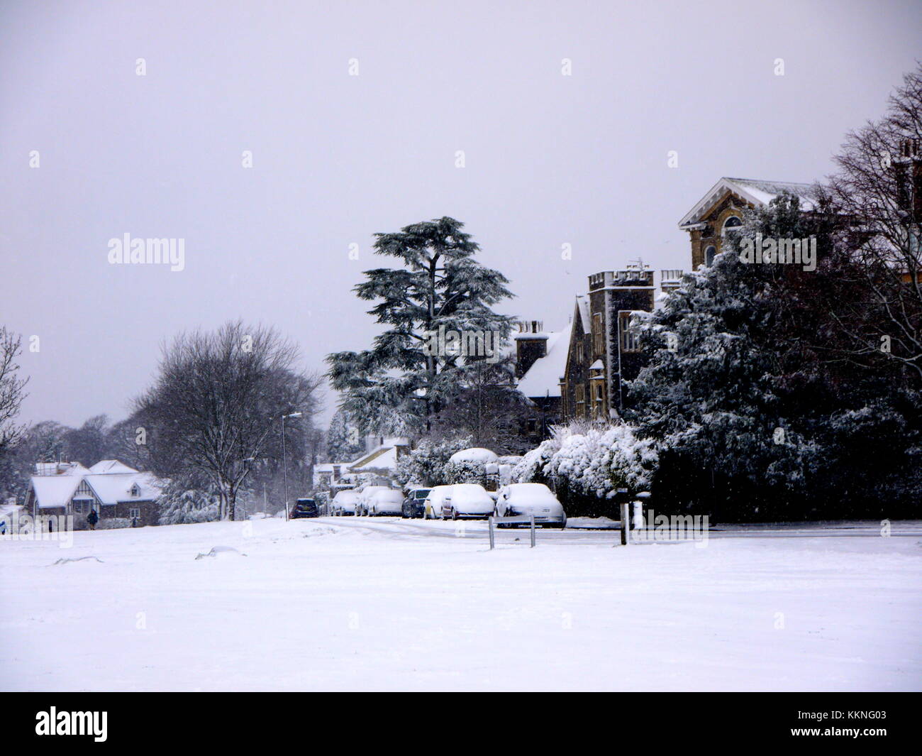Winter snow at Clifton Downs Bristol England Stock Photo - Alamy