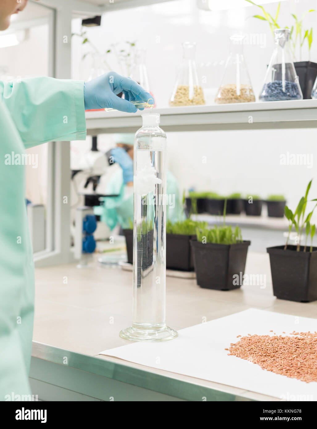 Lab technician pours liquid in high flask on background of laboratory ...