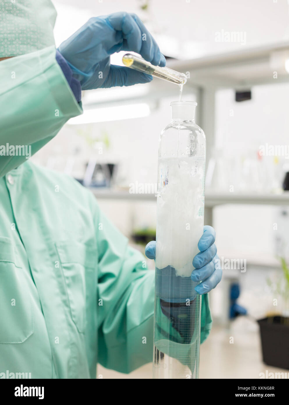 Lab technician pours liquid in high flask on background of laboratory ...