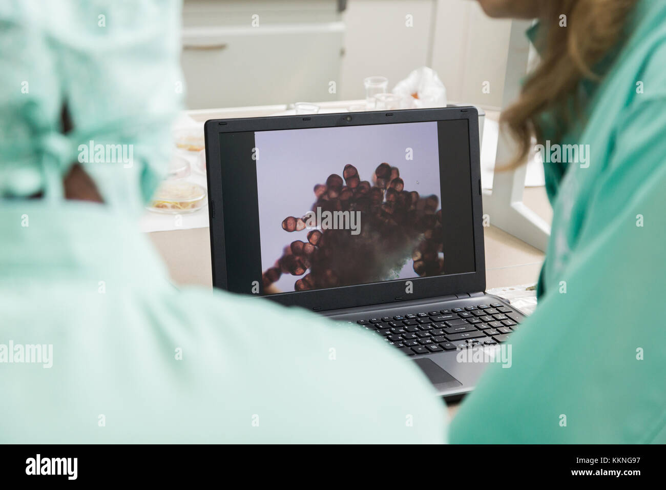 Two biologist looking microscope enlarged image on the laptop screen ...