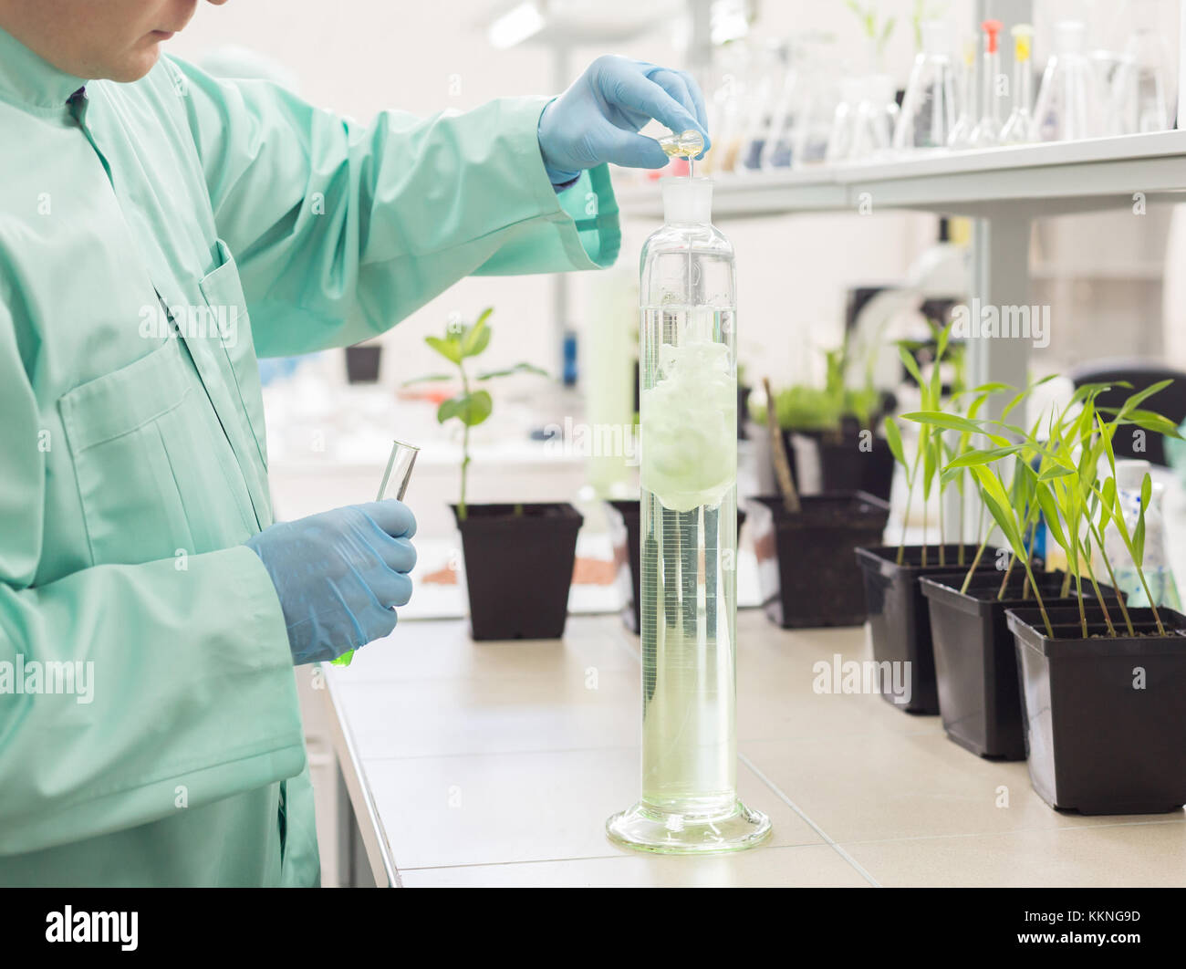 Lab technician pours liquid in high flask on background of laboratory ...
