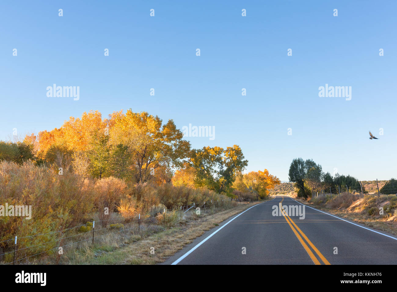New mexico highway fall hi-res stock photography and images - Alamy