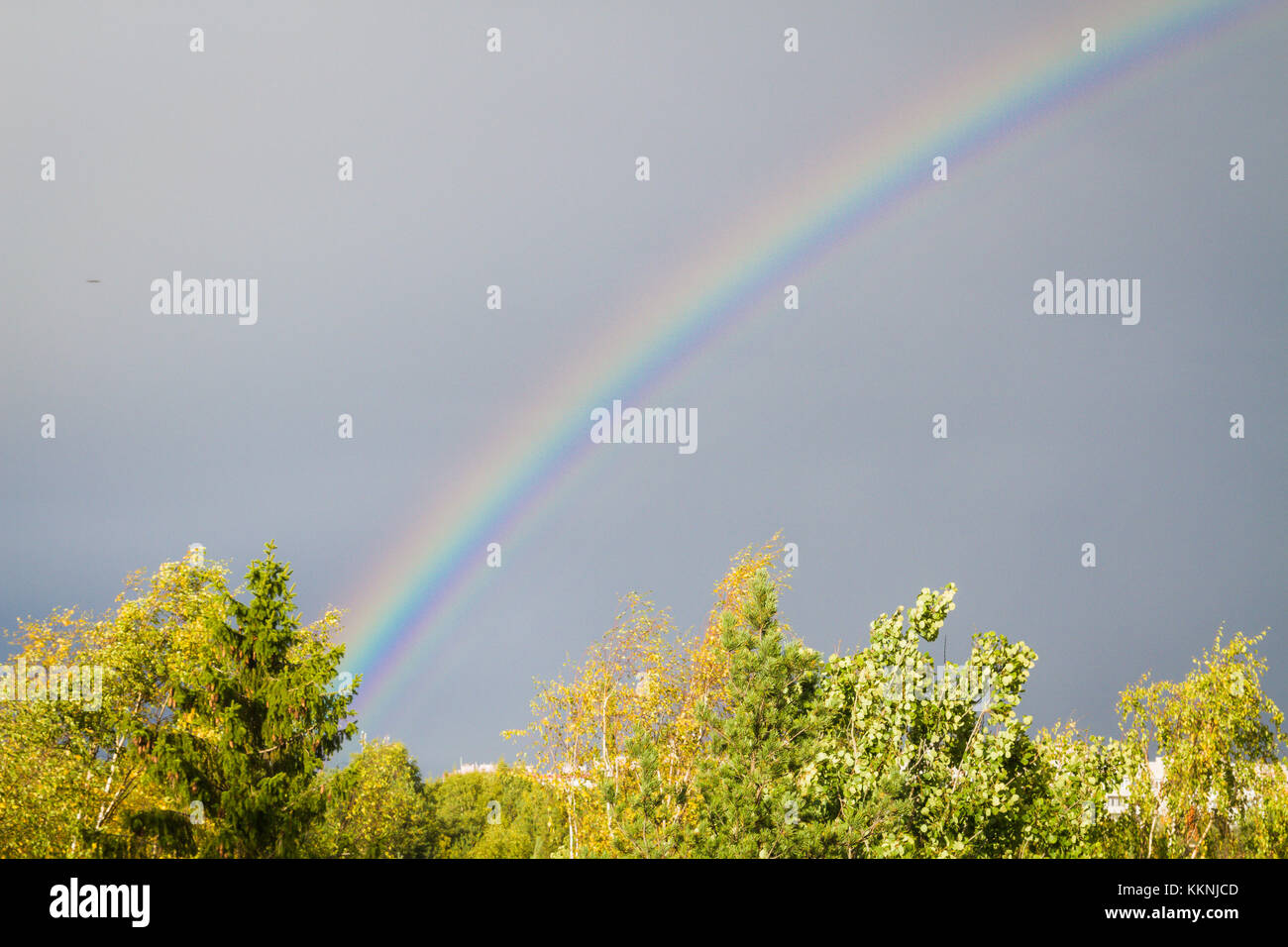 A bright rainbow over the city in the fall Stock Photo - Alamy