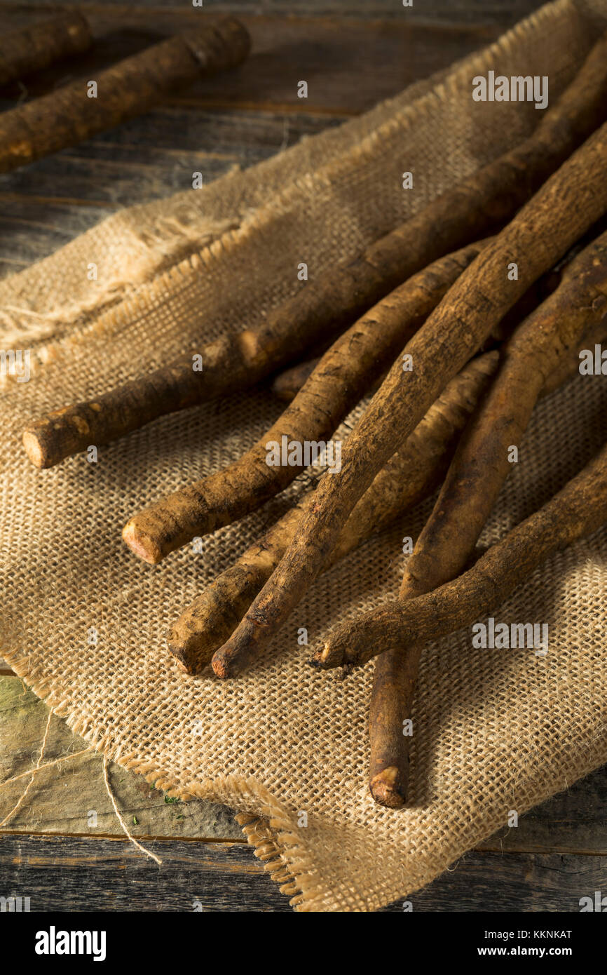 Raw Brown Organic Burdock Root on Burlap Stock Photo - Alamy