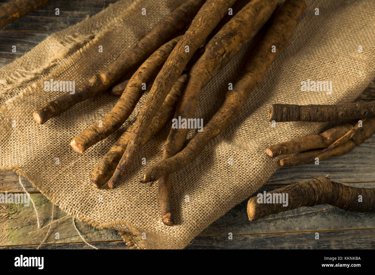 Raw Brown Organic Burdock Root on Burlap Stock Photo - Alamy