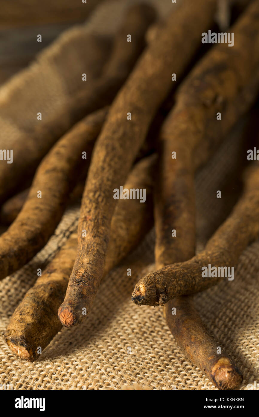 Burdock root hi-res stock photography and images - Alamy