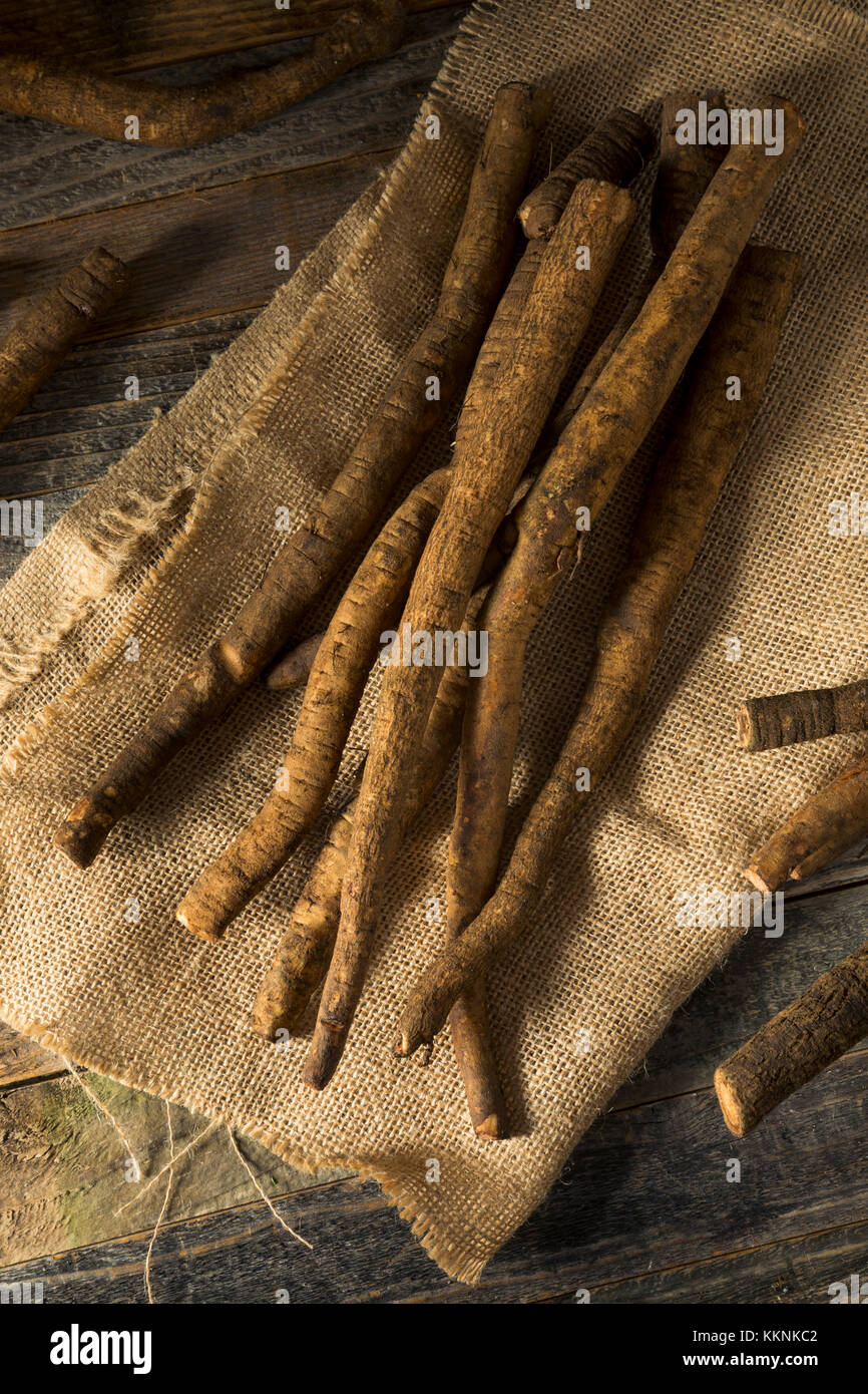 Burdock root hi-res stock photography and images - Alamy