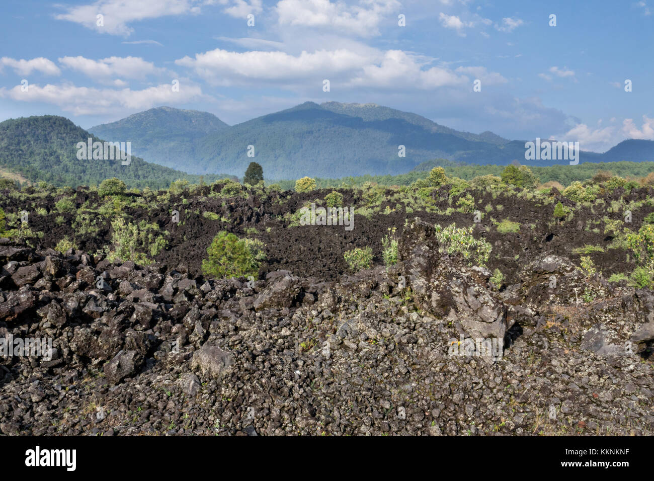 A sea of dried lava rock in the remote village of San Juan ...