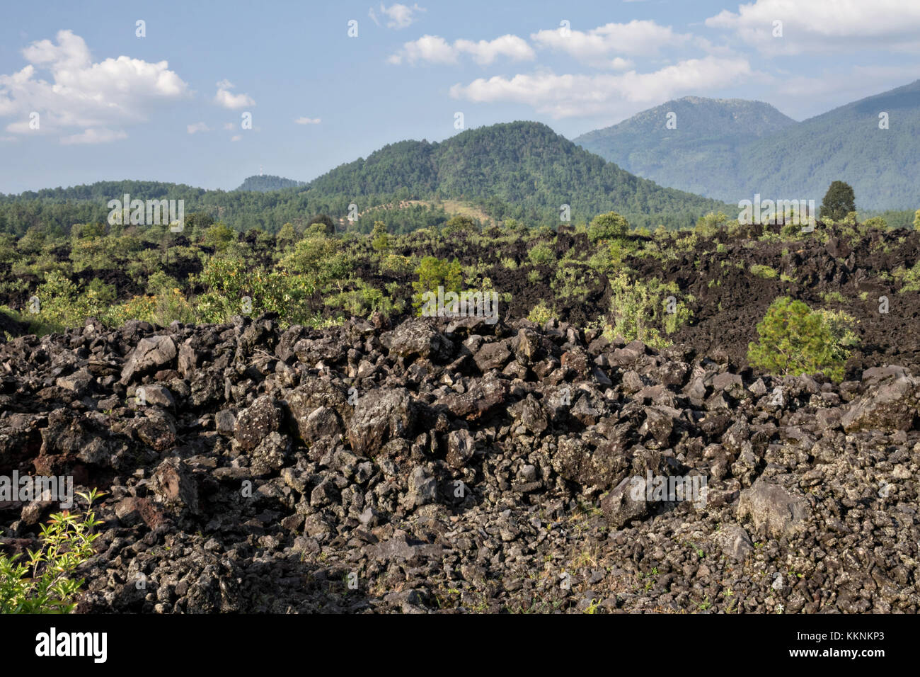 A sea of dried lava rock in the remote village of San Juan ...