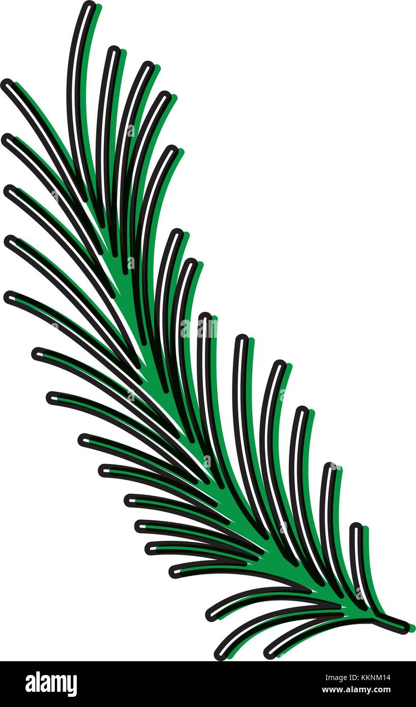 color rustic natural branch plant design Stock Vector Image & Art - Alamy
