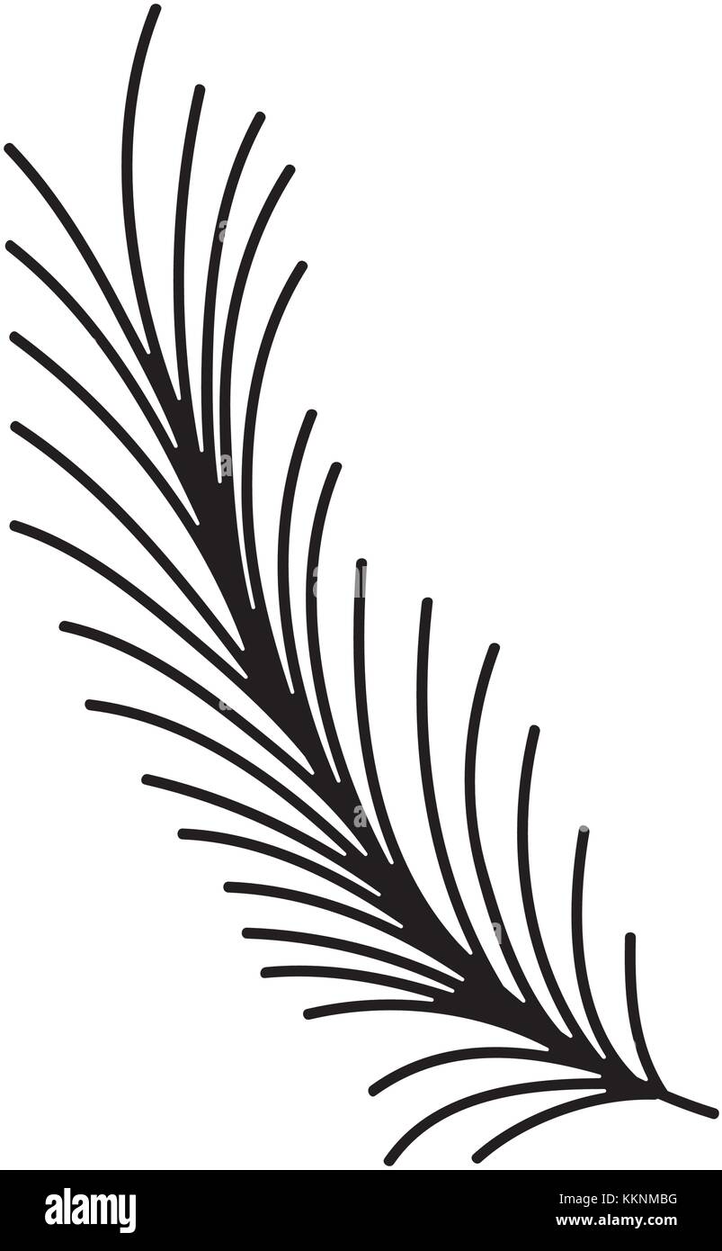 contour rustic natural branch plant design Stock Vector Image & Art - Alamy