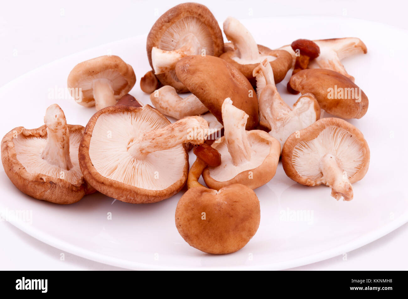 Mushroom mix on white background Stock Photo - Alamy