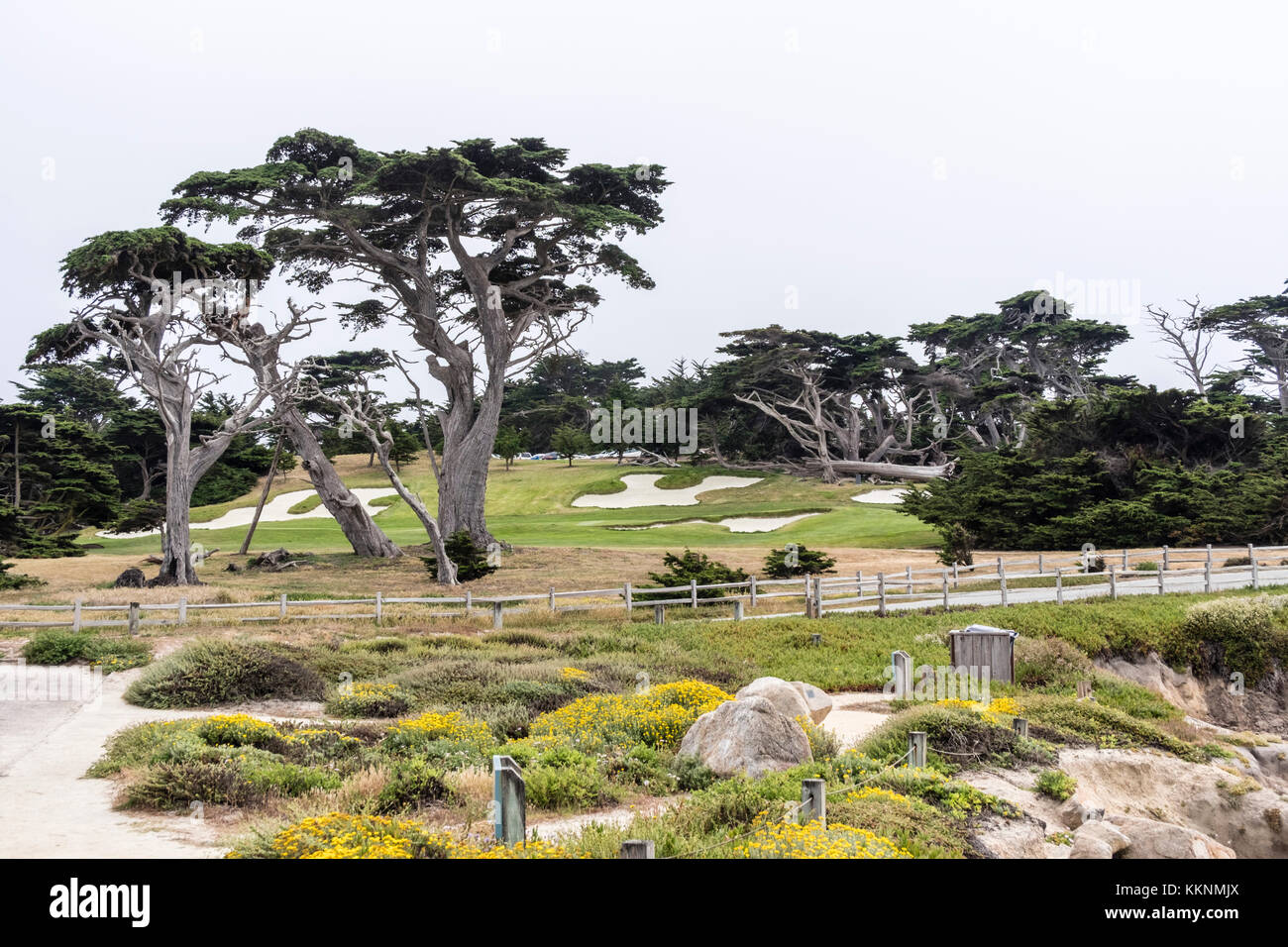 Cypress Point, Pebble Beach, California, USA Stock Photo - Alamy