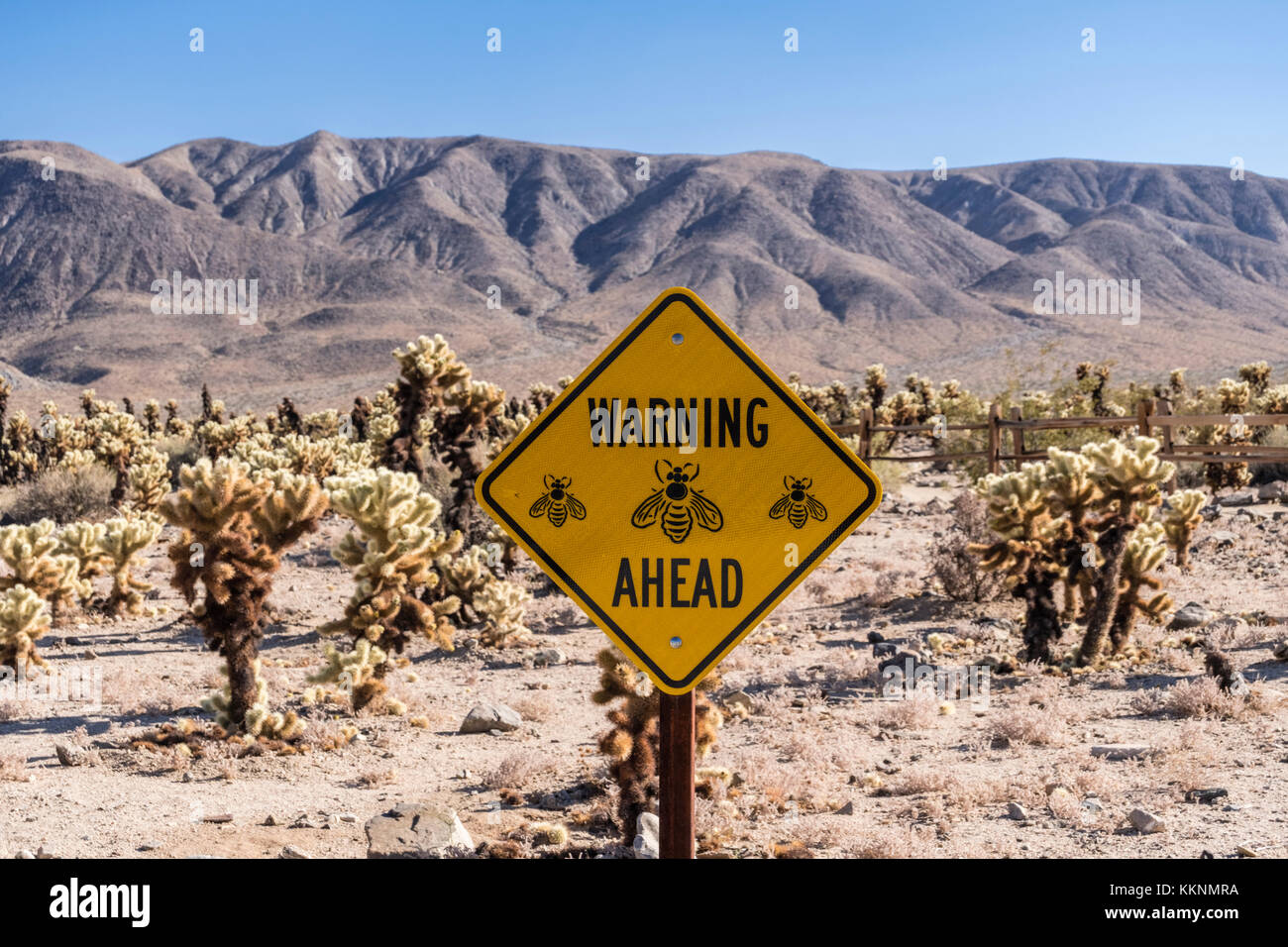 Joshua tree national park sign hi-res stock photography and images - Alamy