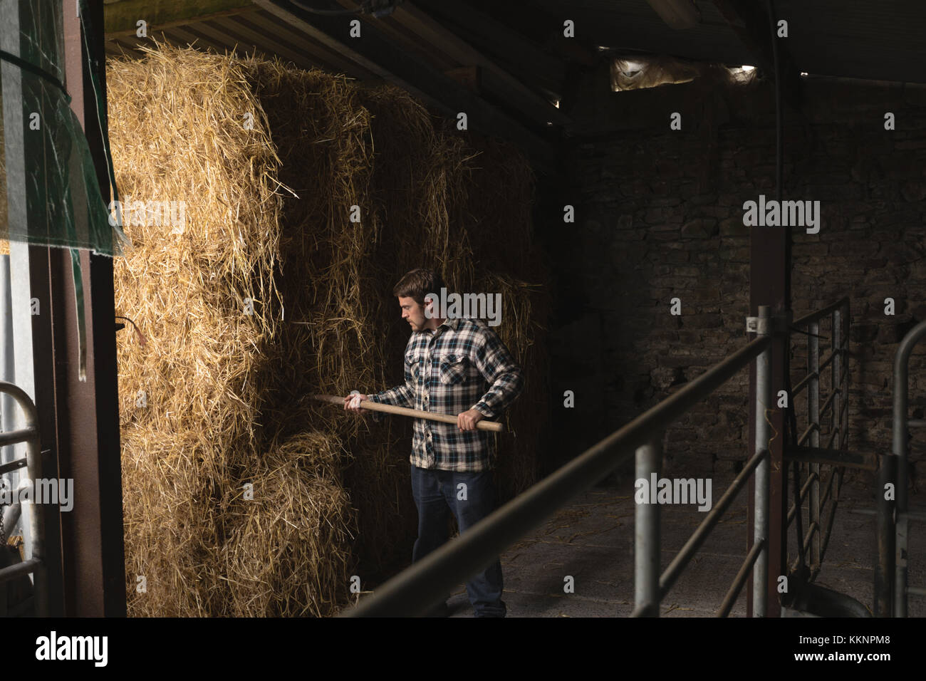 Farmer working in barn Stock Photo - Alamy