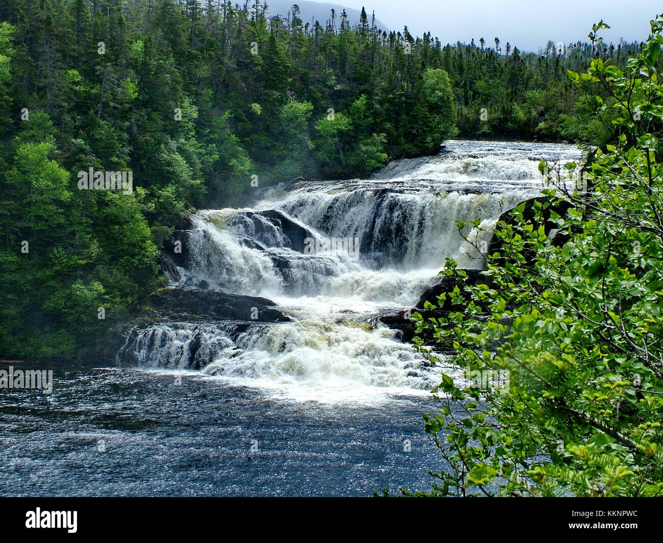 Baker's Brook Falls, Newfoundland, Canada Stock Photo - Alamy