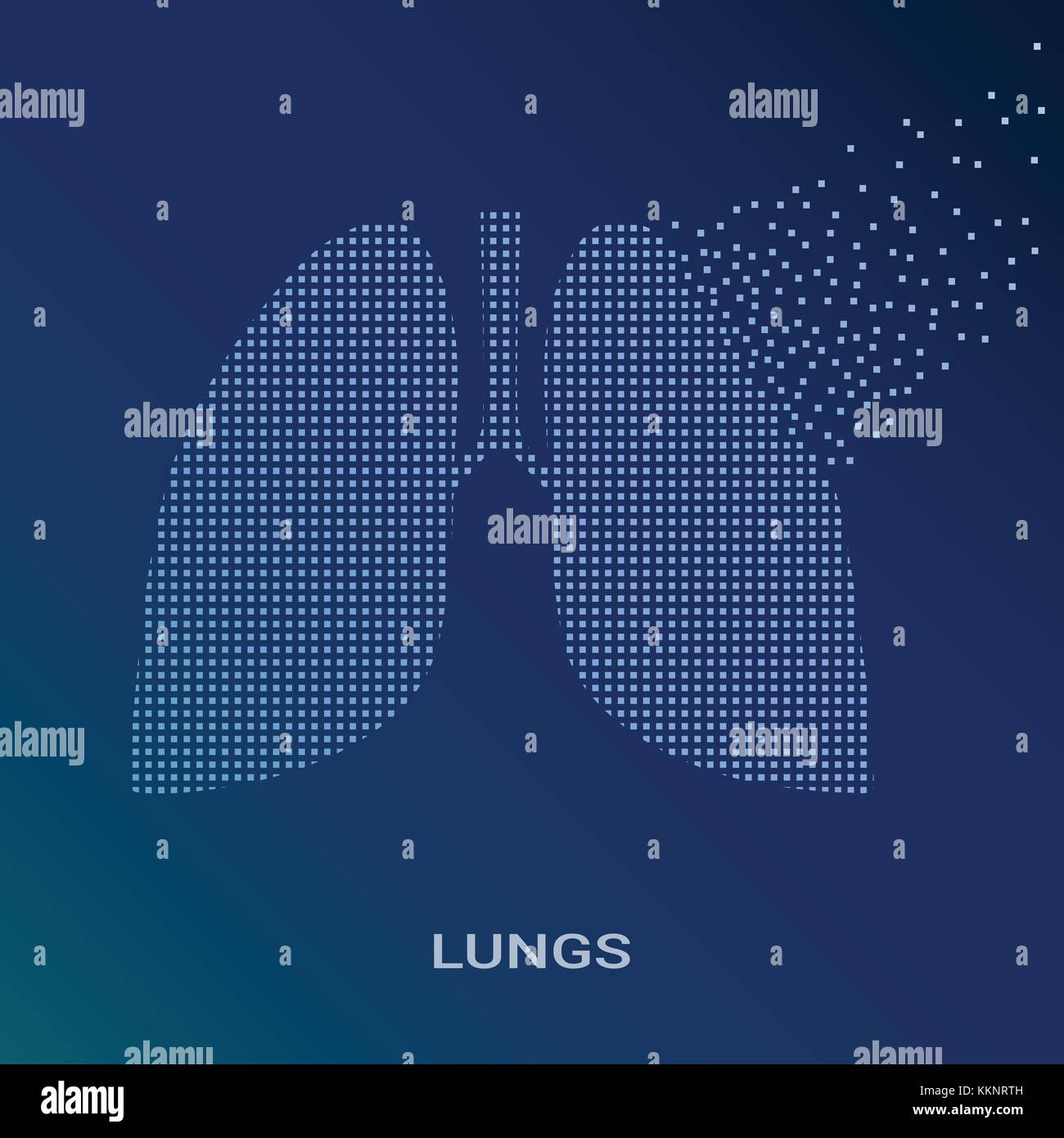 3d illustration larynx anatomy vector hi-res stock photography and ...