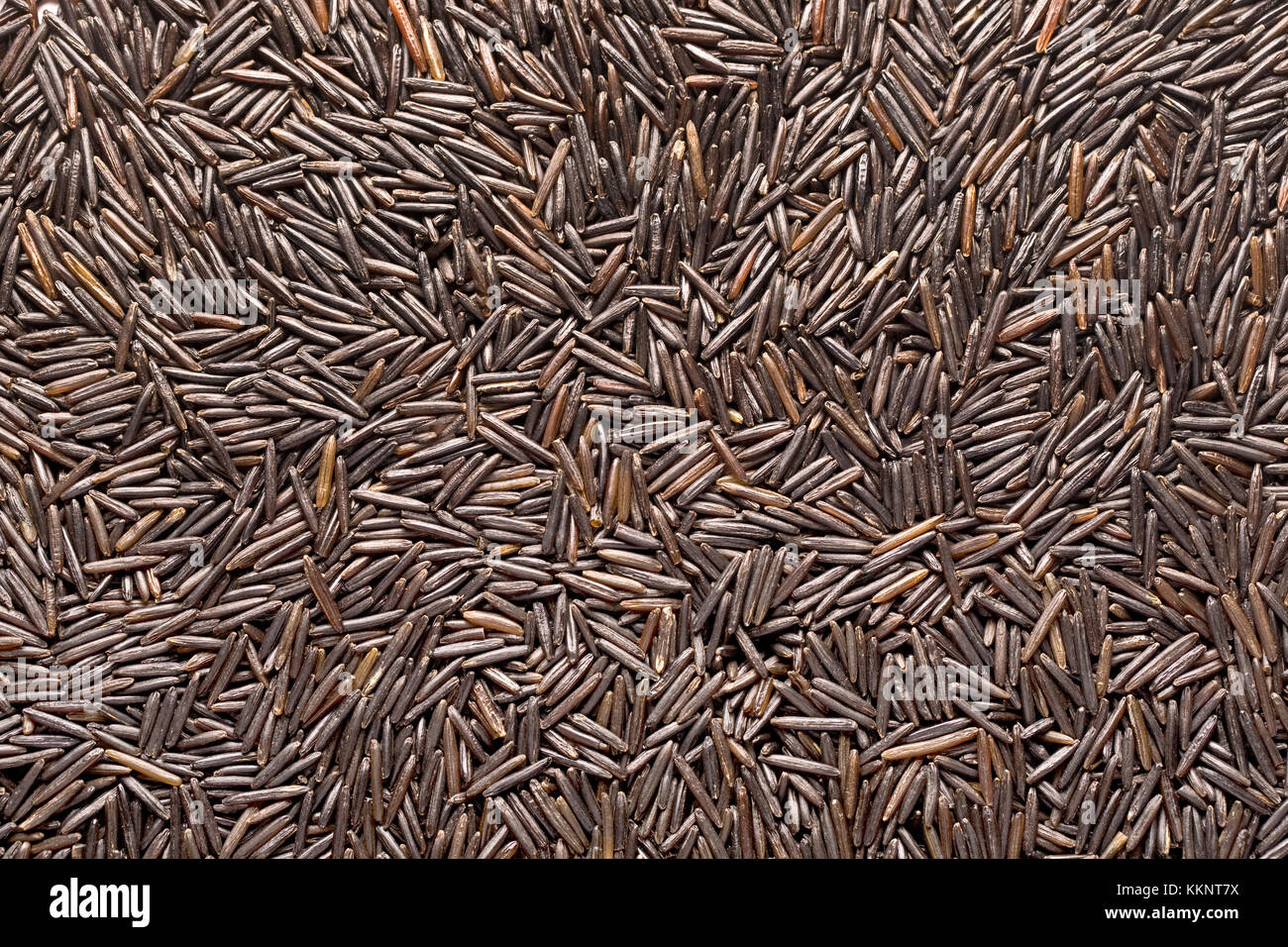 Seeds of wild rice.Background Stock Photo - Alamy