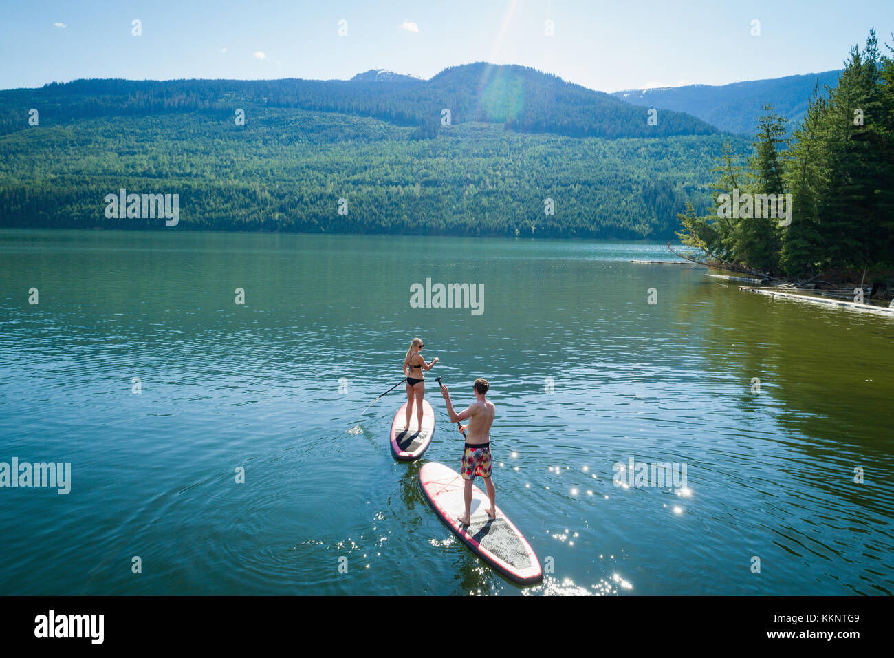 Woman in bikini paddleboarding hi-res stock photography and images - Alamy