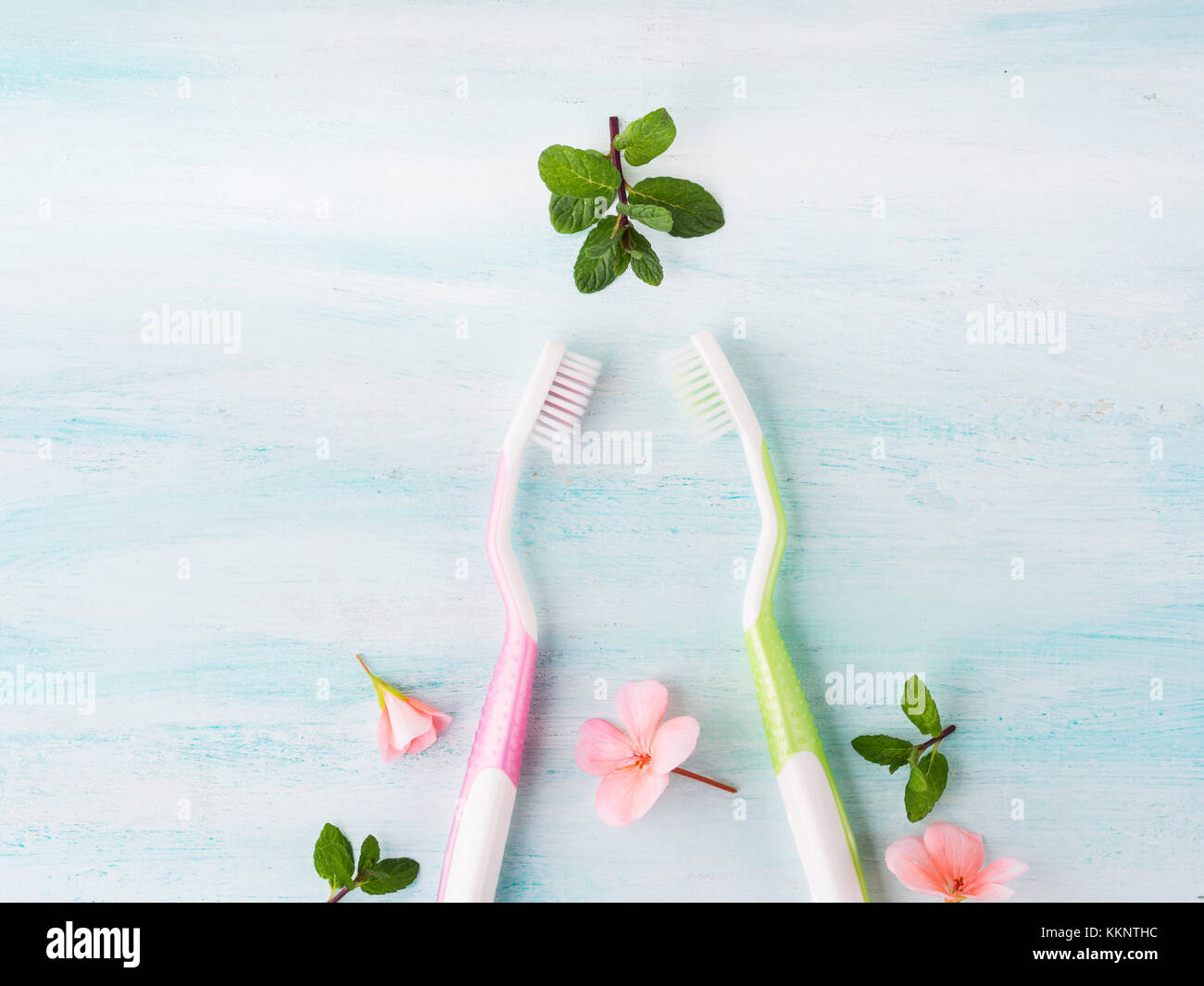 Two pastel toothbrushes with pink flowers mint herb over green textured ...