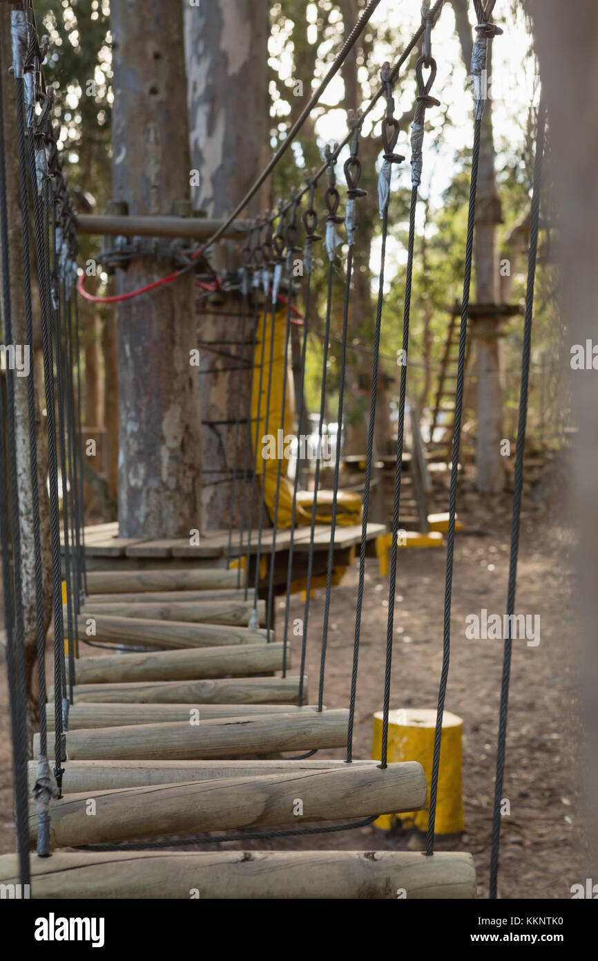 Zip line bridge in the forest Stock Photo - Alamy