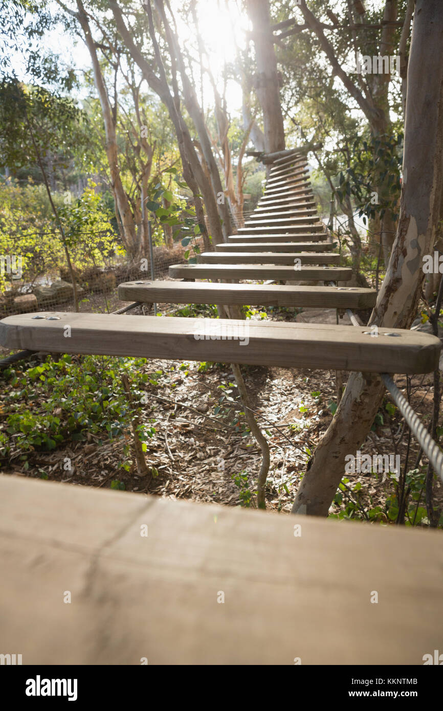 Zip line bridge in the forest Stock Photo - Alamy