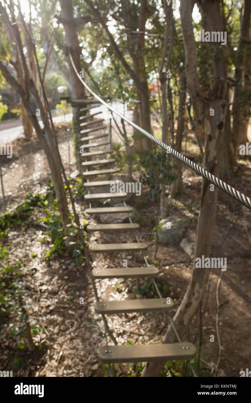 Zip line bridge in the forest Stock Photo - Alamy
