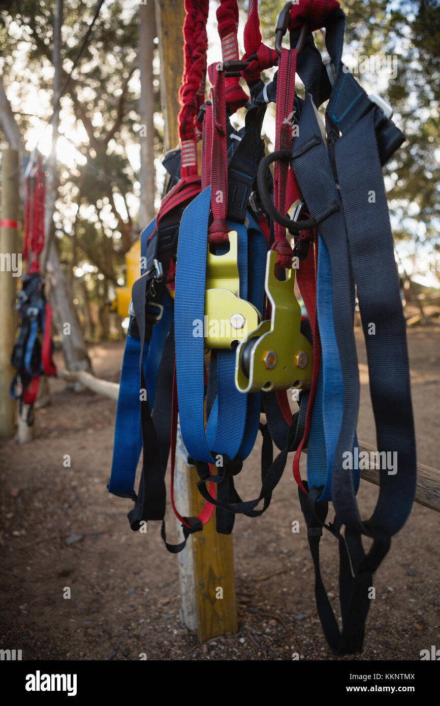 Harness belt hanging on zip line Stock Photo - Alamy