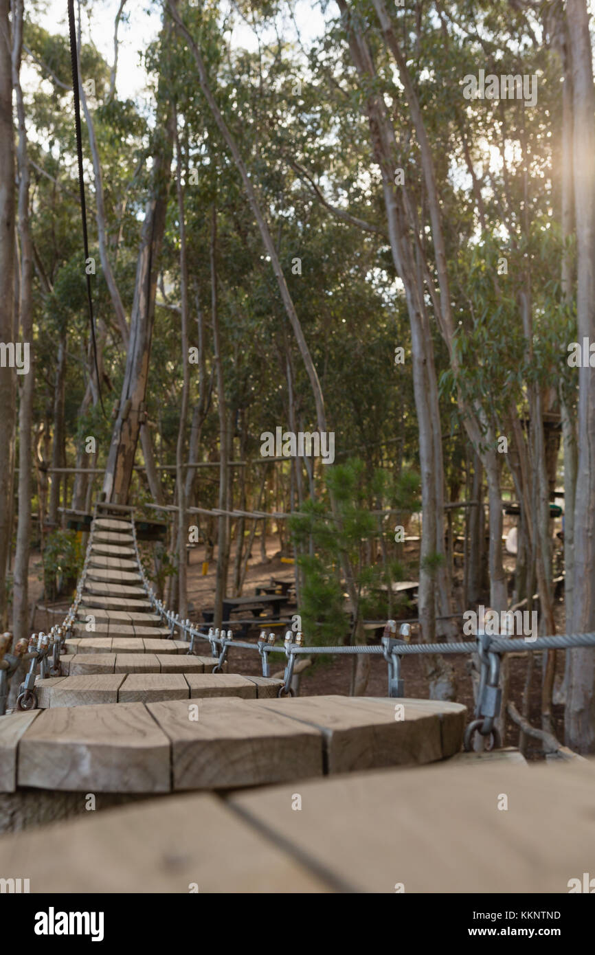 Zip line bridge in the forest Stock Photo - Alamy