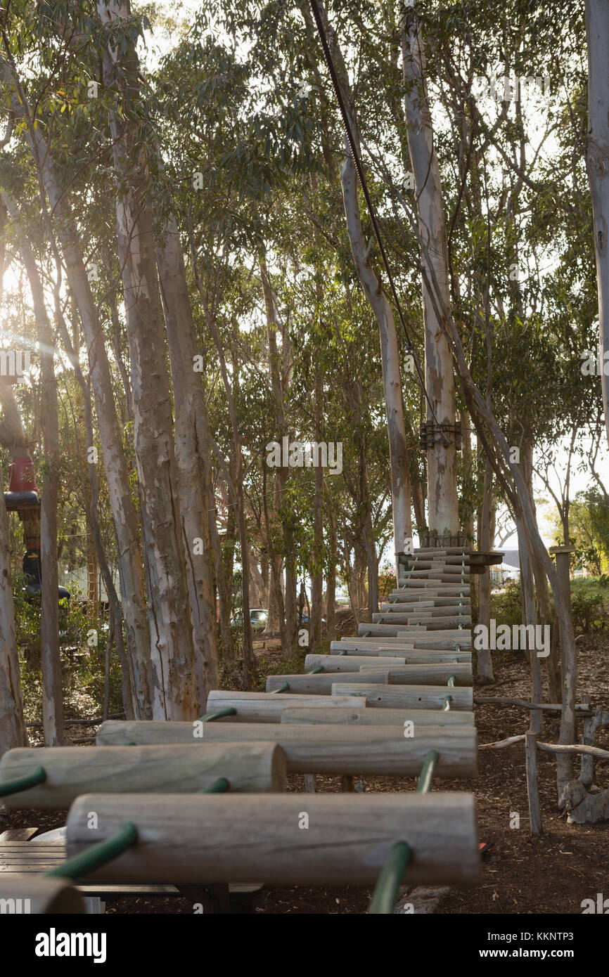 Zip line bridge in the forest Stock Photo - Alamy