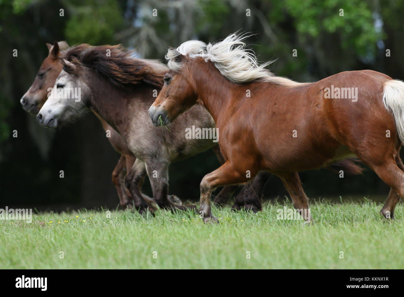 Three together hi-res stock photography and images - Alamy