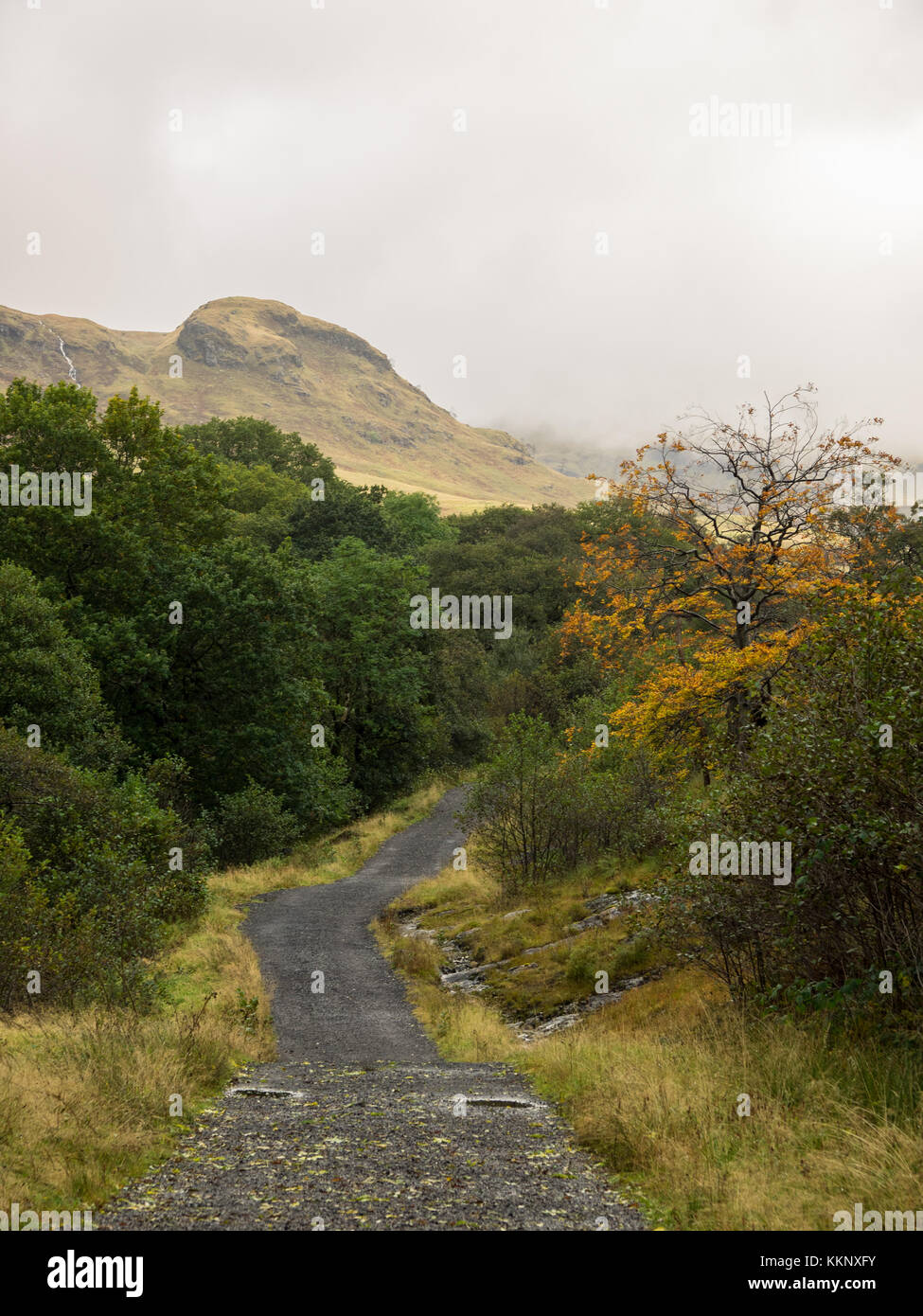 walking on the west highland way, scotland Stock Photo - Alamy
