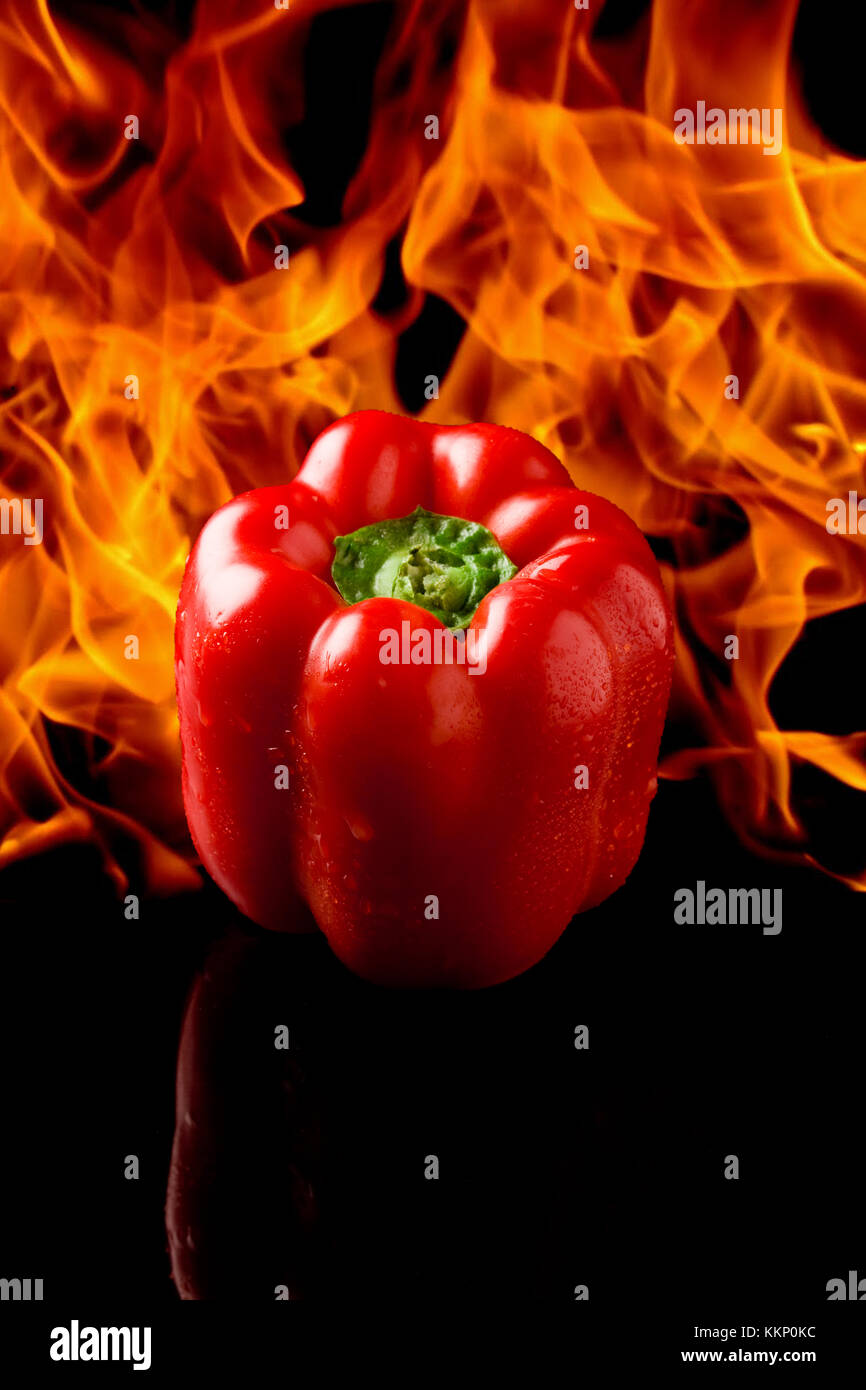 photo of vivid colorful pepper with fire flames on the background Stock ...