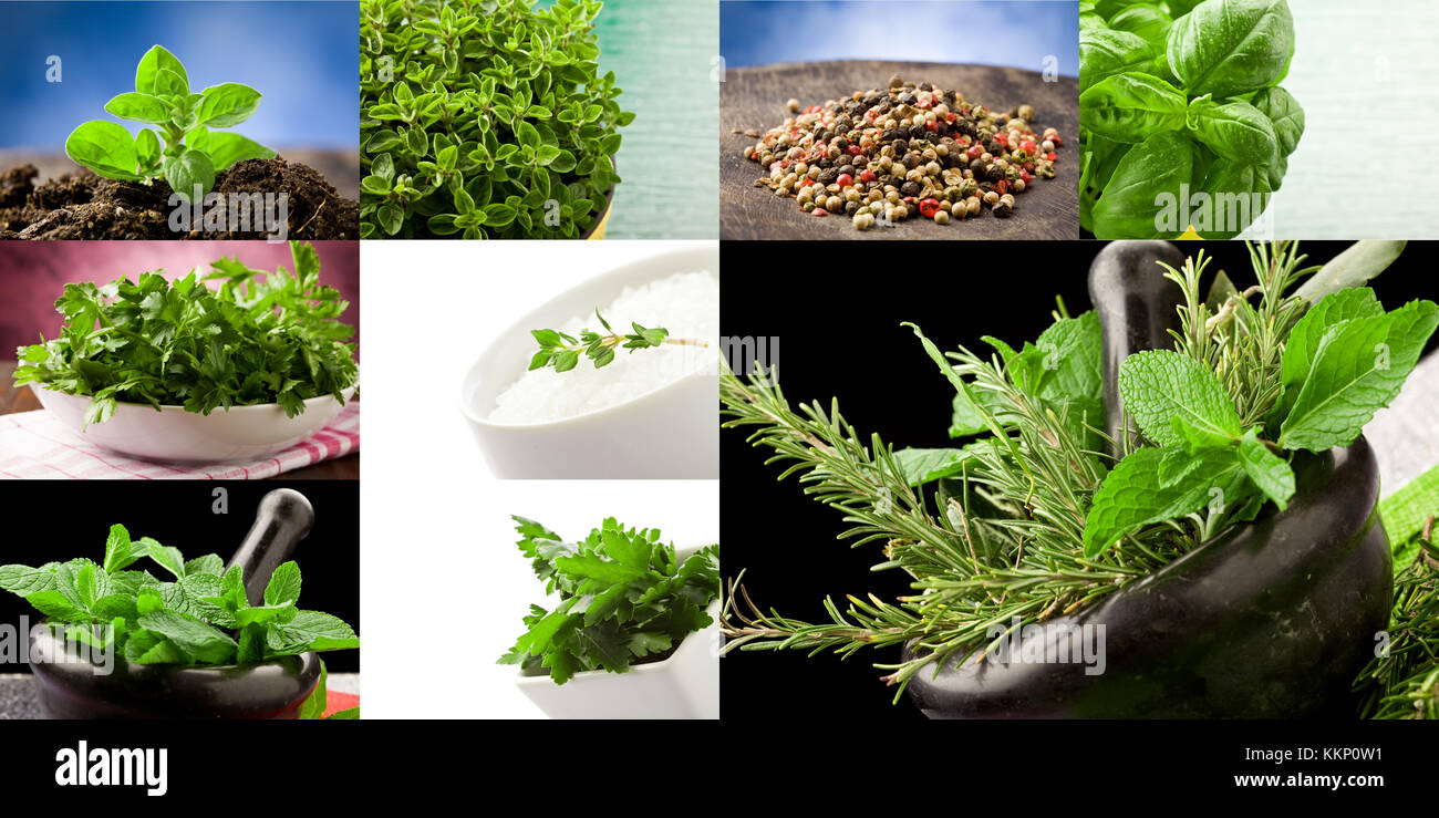 photo of different aromatic herbs arranged into a collage Stock Photo ...