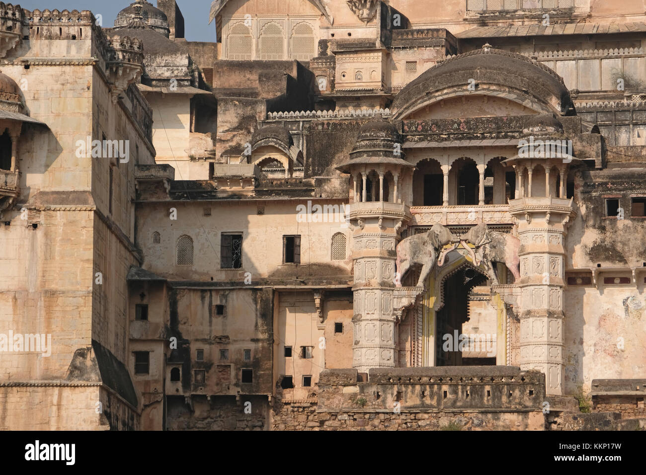 Elephant at the gate hi-res stock photography and images - Alamy