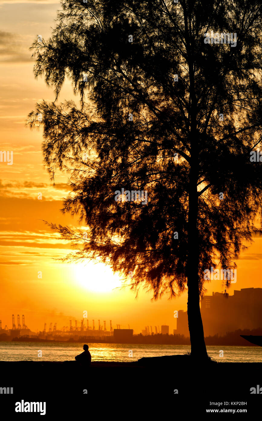 Seaside landscapes hi-res stock photography and images - Alamy