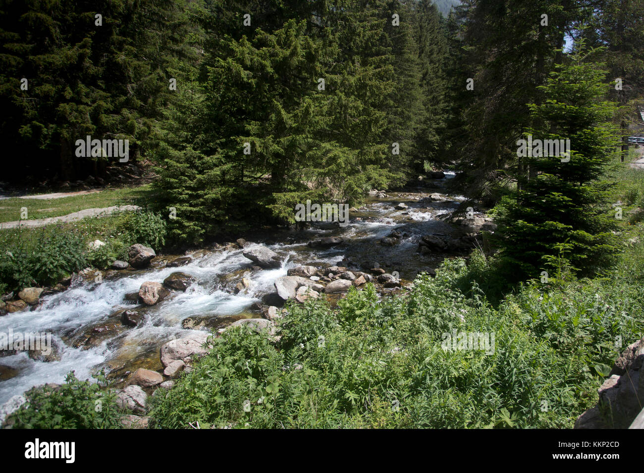 River that feeds into Lac du Boreon, Le Boreon, Saint-Martin-Vesubie ...