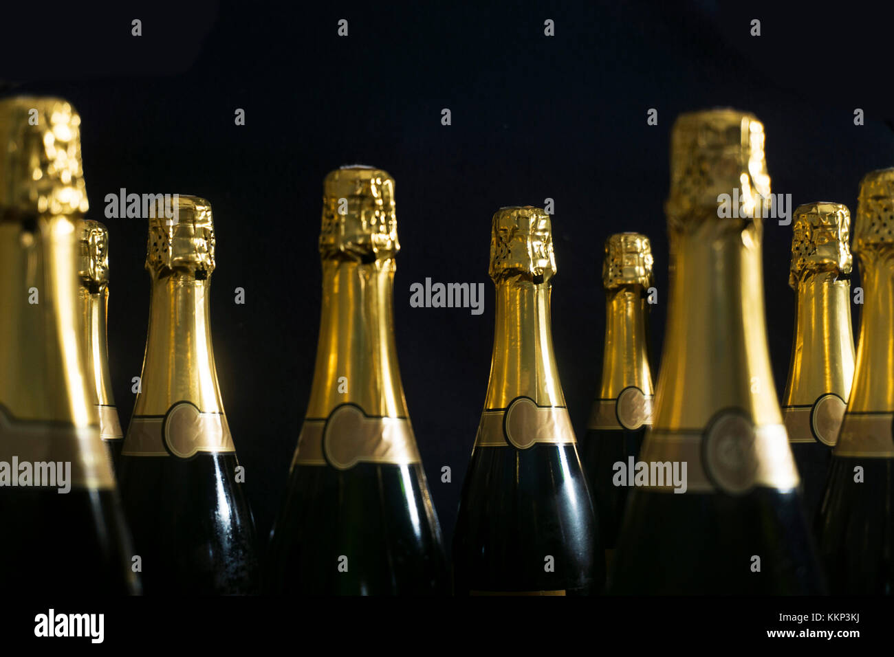 Prosecco bottles isolated hi-res stock photography and images - Alamy