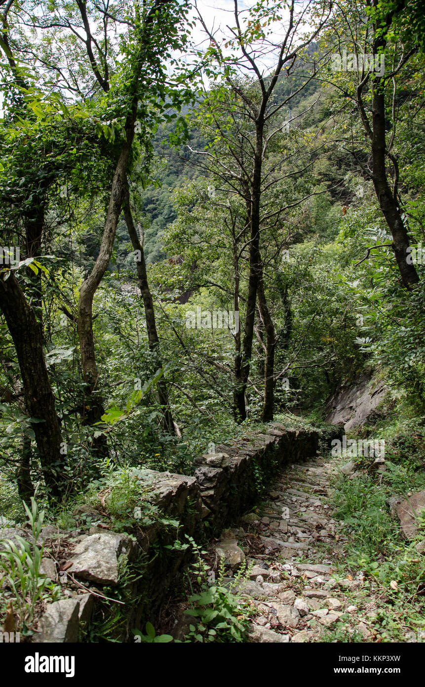 Ancient mule track hi-res stock photography and images - Alamy
