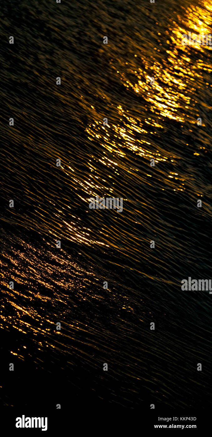 in australia the concept of relax in the sea reflex of the golden sun ...