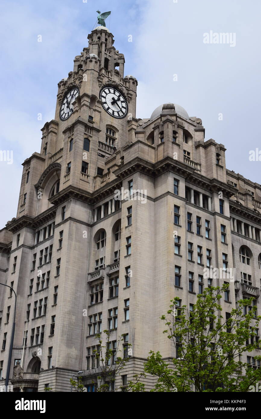 Royal liver building city hi-res stock photography and images - Alamy