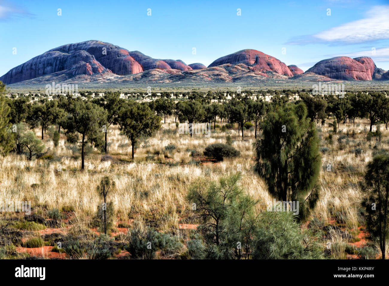 in australia the concept of wilderness environment in the landscape ...