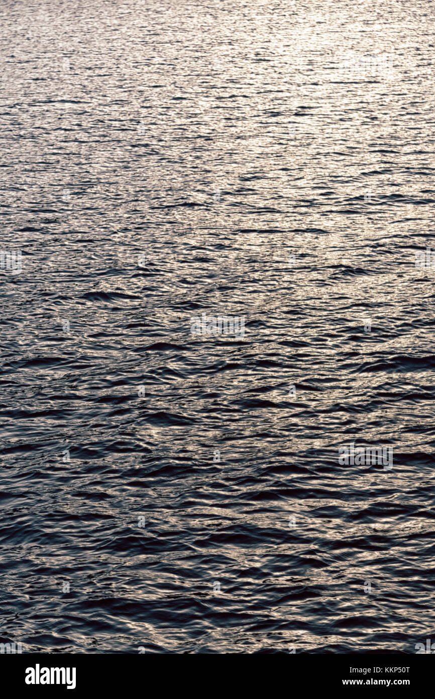 in australia the concept of relax in the sea reflex of the golden sun ...