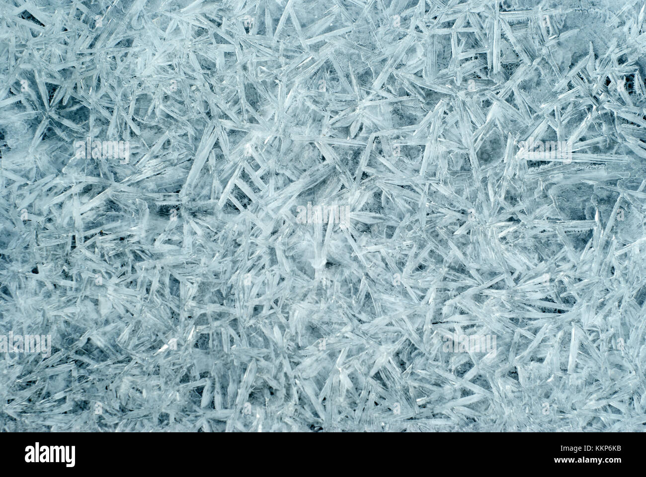 background, texture: surface of water during freezing; a lot of ice ...